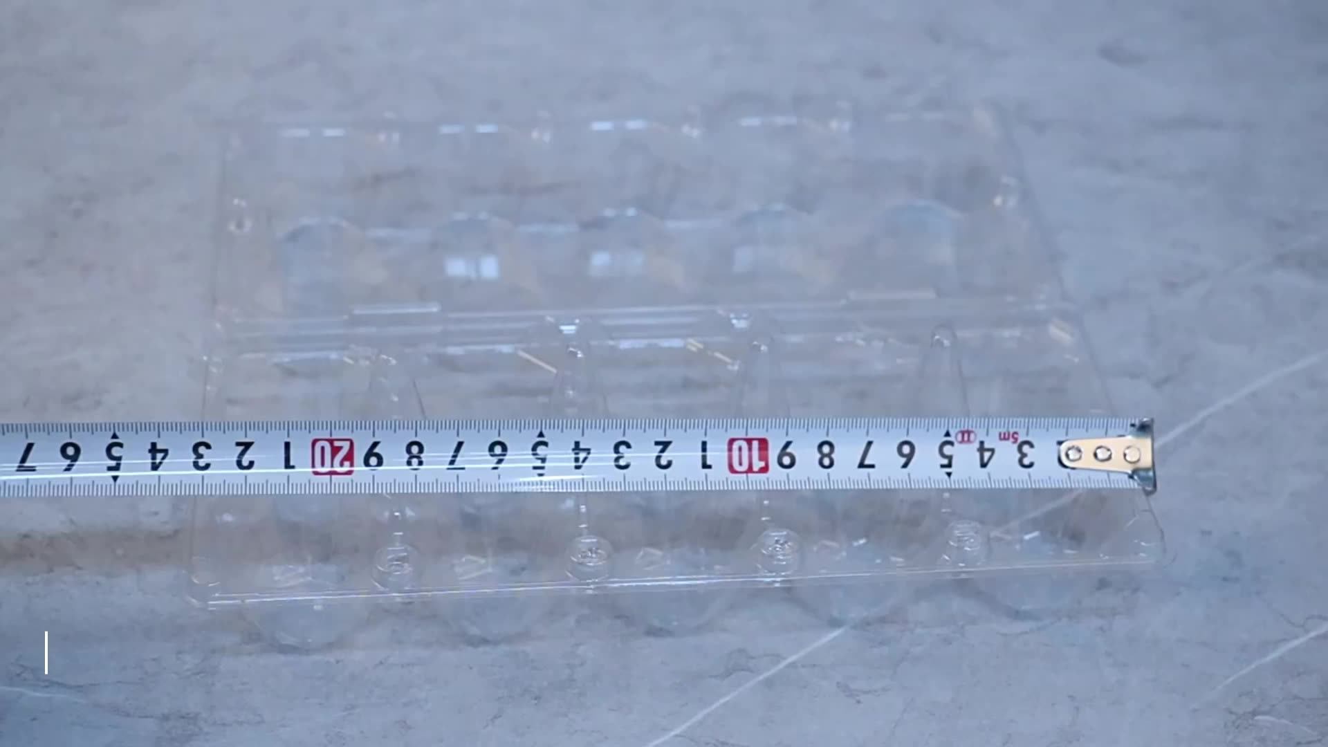 12 Plastic Egg Cartons Clear Plastic Egg Tray Ecofriendly Tray Supplier ...