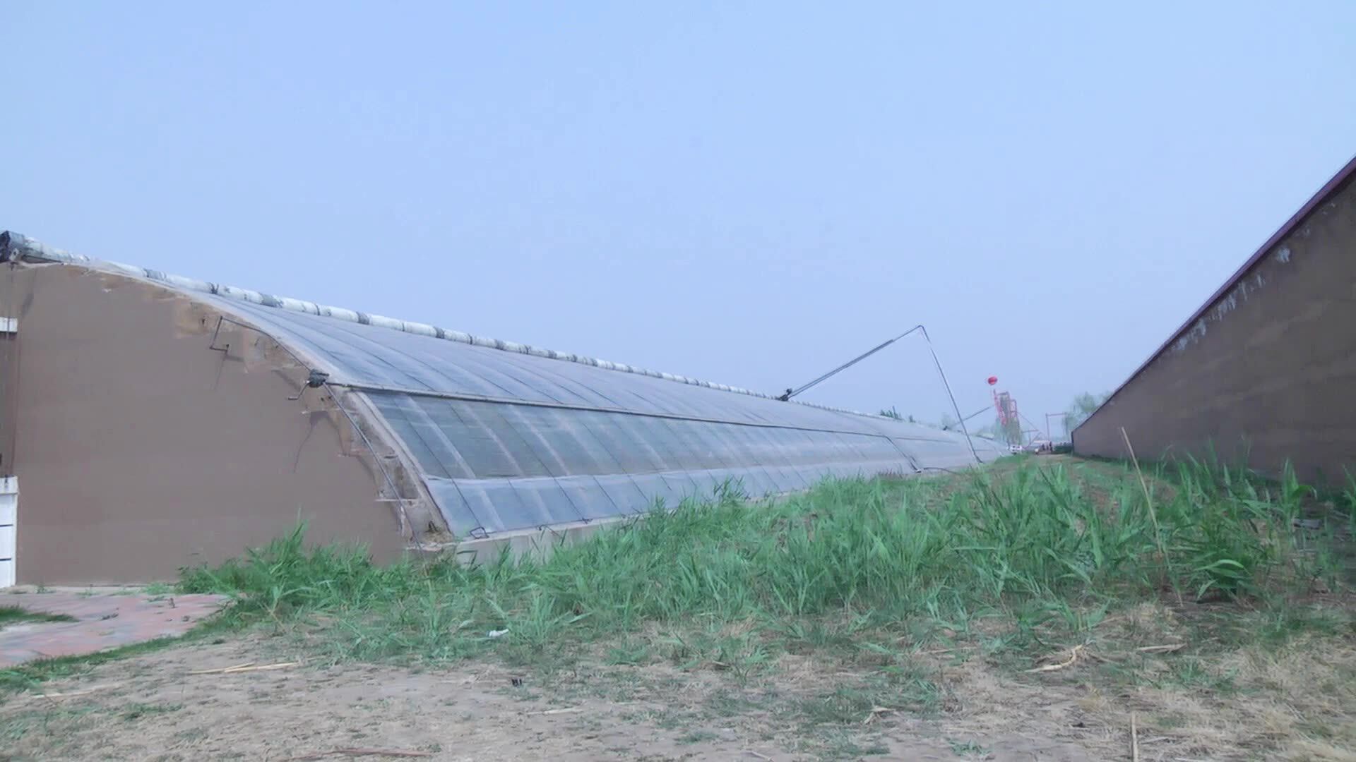 Greenday Chinese Lean To Solar Passive Greenhouse With Soil Wall And ...