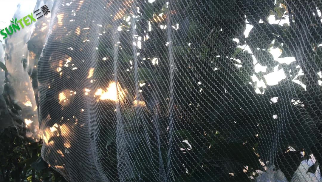 Vegetanbles Greenhouse Anti Hail Protection Screen Netting,Hdpe Black ...