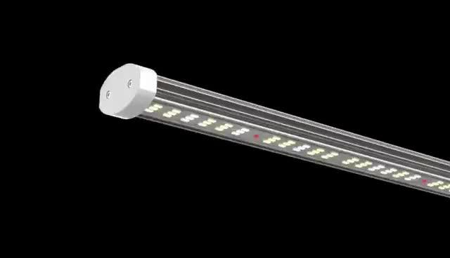 Fluence Ray Tube Led Grow Light Full Spectrum Grow For Indoor Garden ...