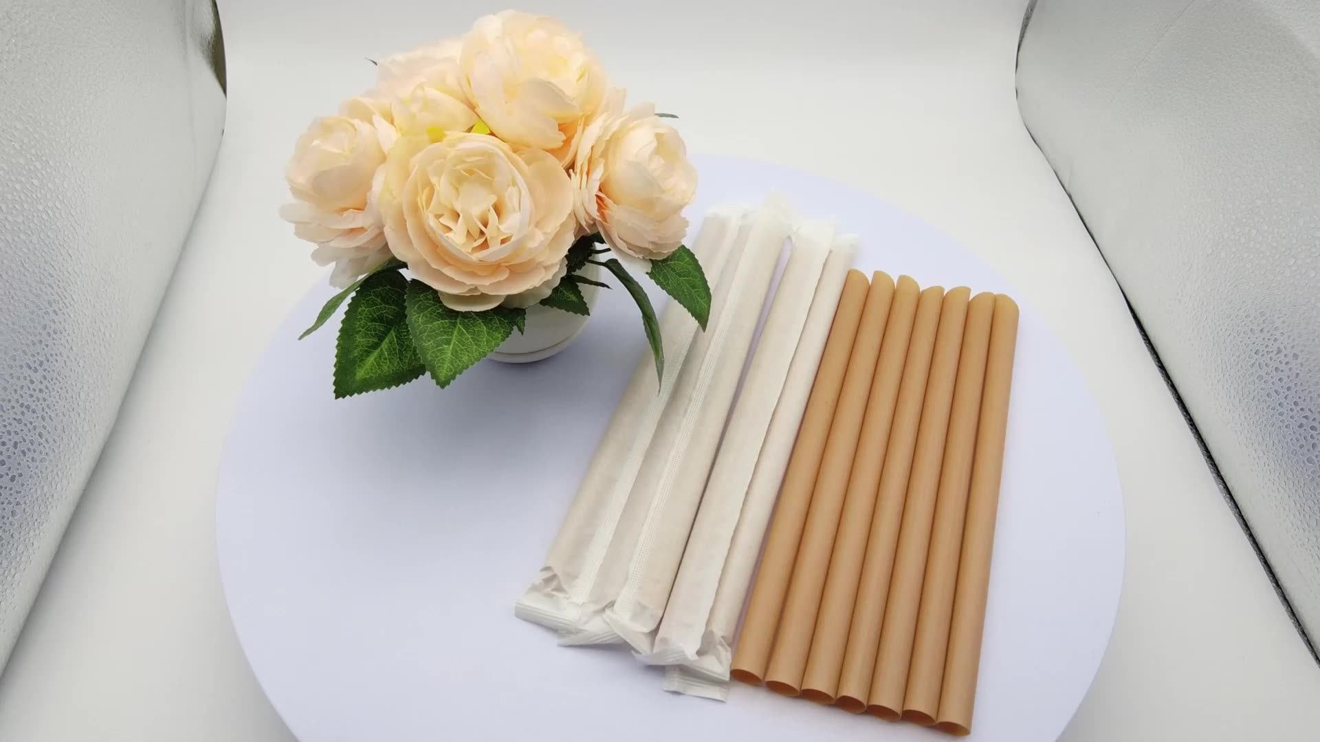 Factory Supply Individual Wrapped Sugarcane Bagasse Drinking Straw ...