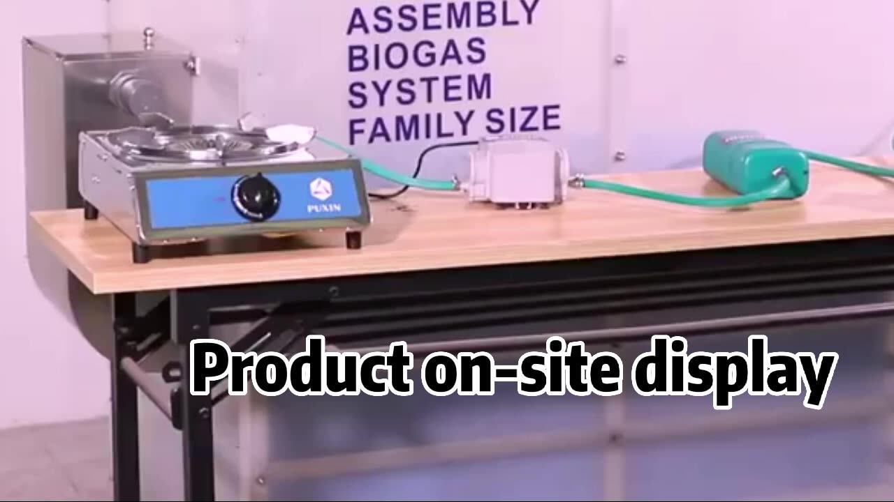 Hot Selling Mini Biogas Digester China Portable Pvc Integrated Mobile ...