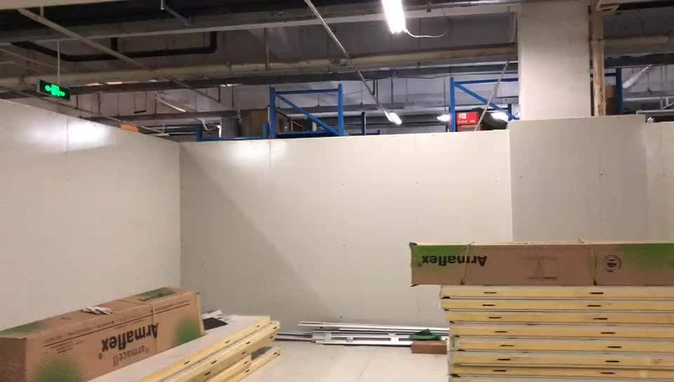 Mini Cold Storage With Cold Room Insulation Panels - Buy Mini Cold ...