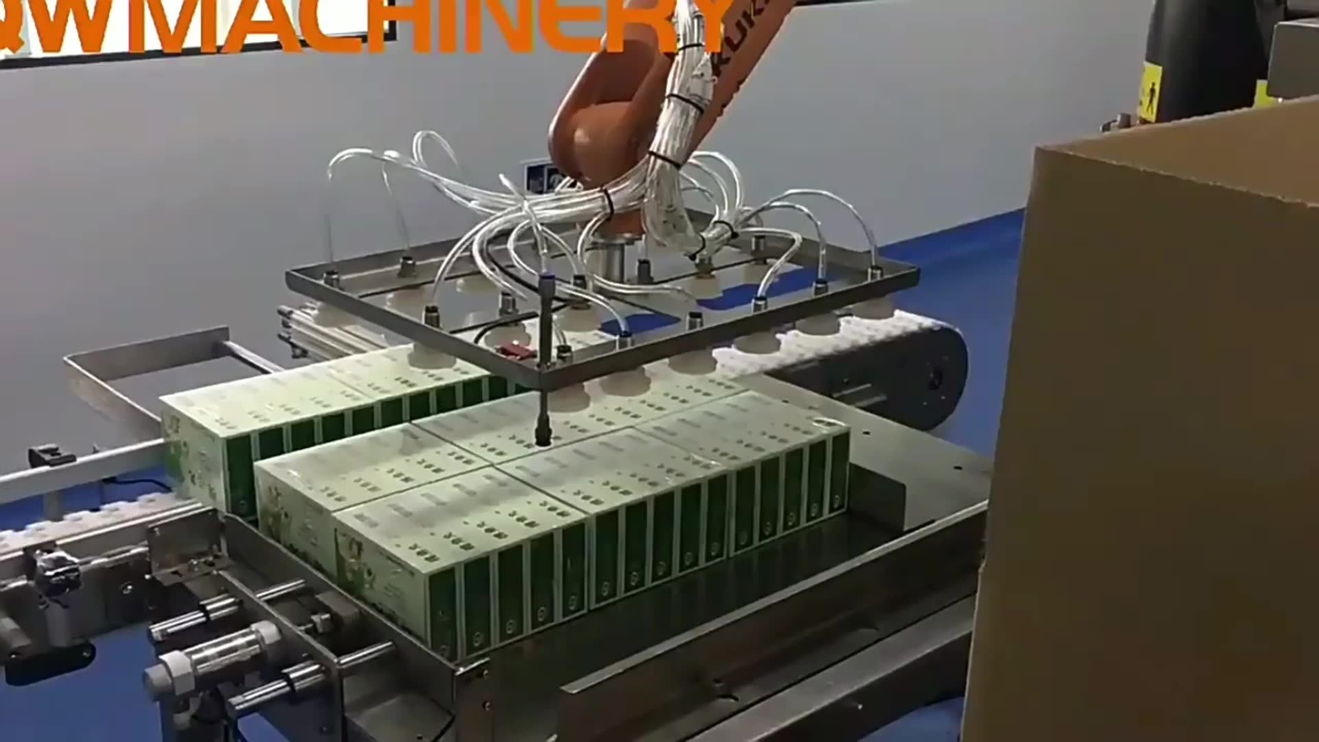 Automatic Pick And Place Carton Box Filling Loading Packing Machine ...
