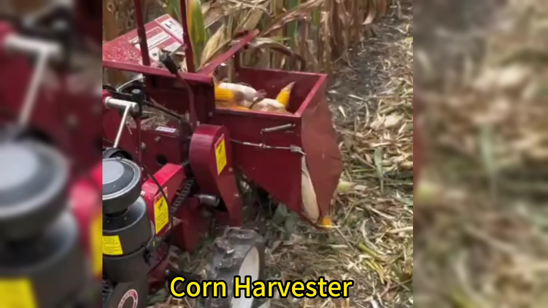 Changtian Industrial Corn Harvester Header Parameter Machine Sunflower ... Changtian Industrial Corn Harvester Header Parameter Machine Sunflower ...
