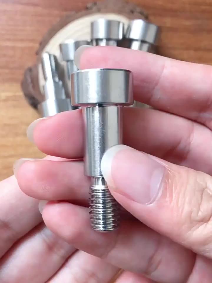 M3 M4 M5 M6 M8 M10 M12 Iso7379 Stainless Steel A2 Stripper Precision ...