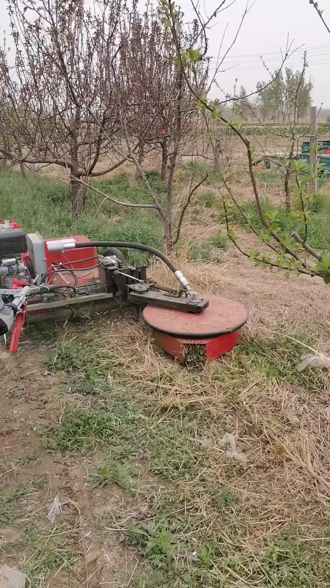 Flail Walk Behind Tree Row Solar Panel Orange Tree Mower Self Propelled ...