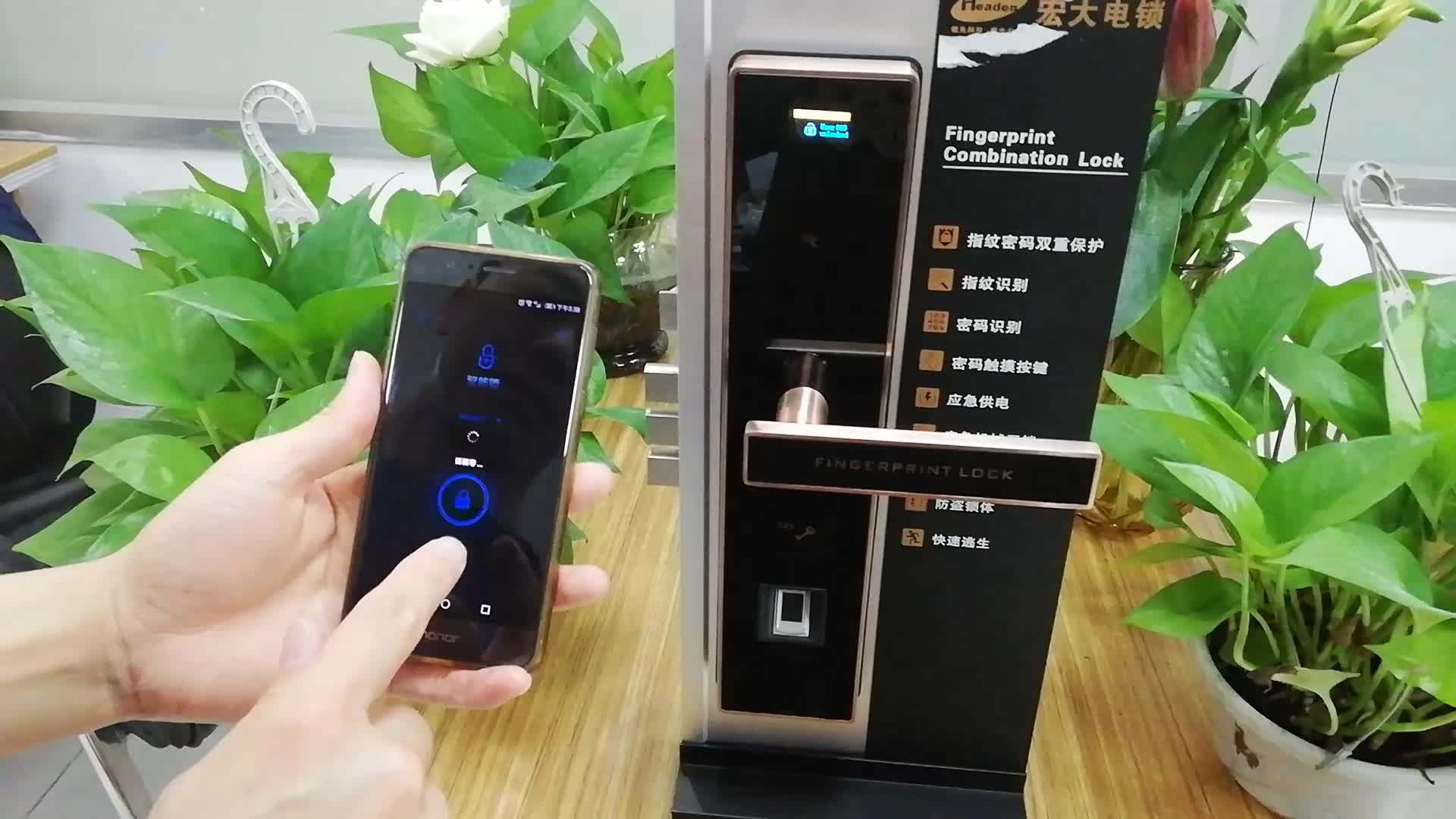 Blue Tooth Door Smart Door Lock Hidden Keypad Entry Electric Remote ...