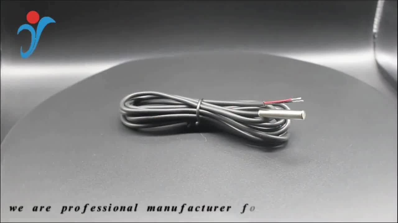 2-wire Pt100 Temperature Sensor - Buy Pt100 Temperature Sensor,Pt100 ...