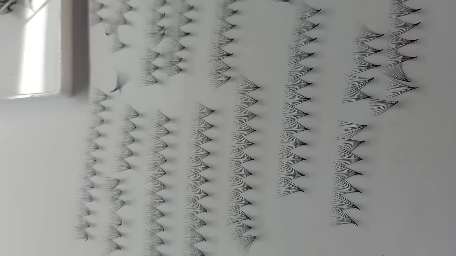 Premade Fan 2d To 20d 500fans 1000fans In Box Tray Xl Xxl Eyelashes Oem ...