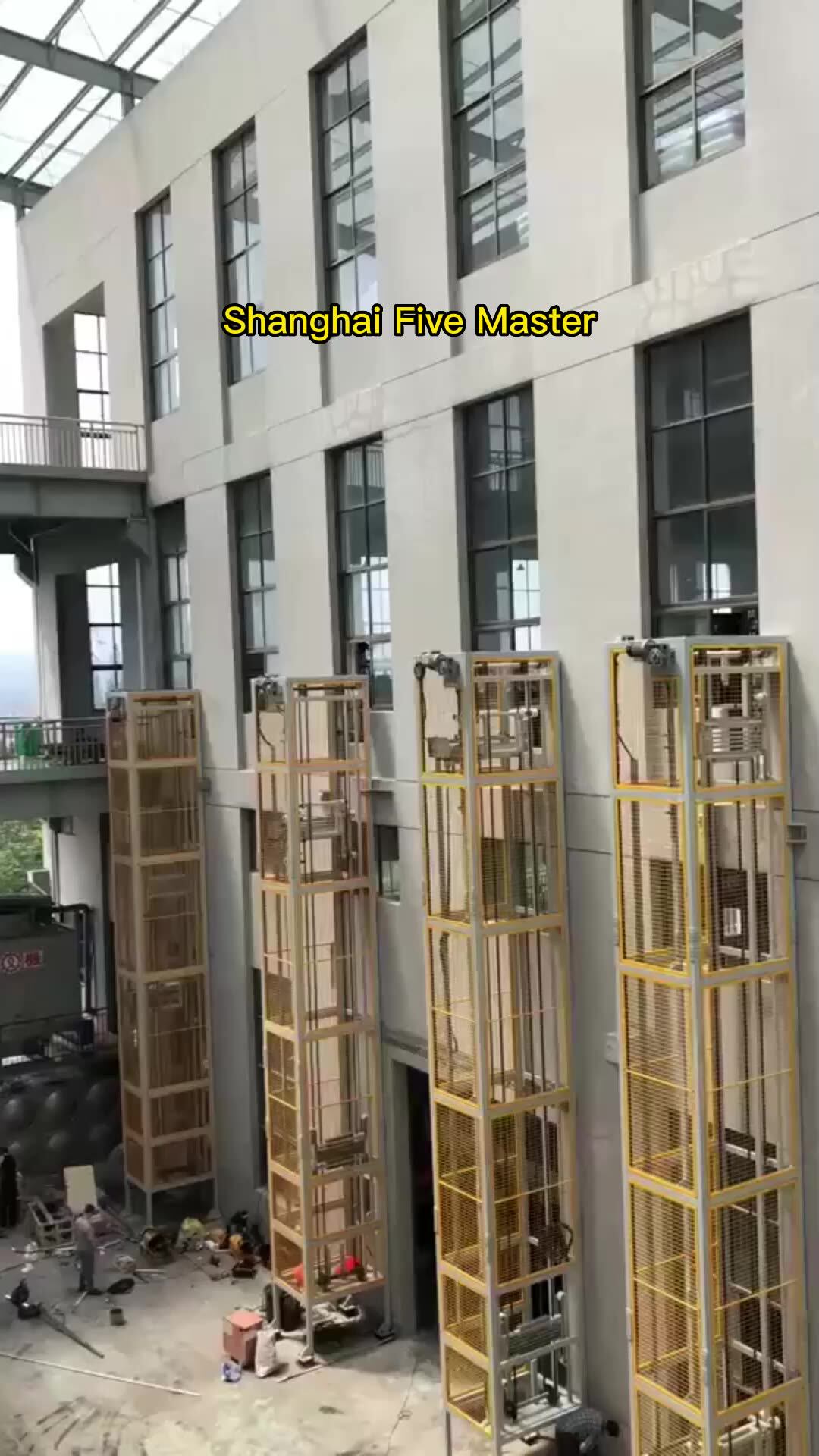 Z Type Vertical Reciprocating Lift Conveyor Continuous Vertical ...