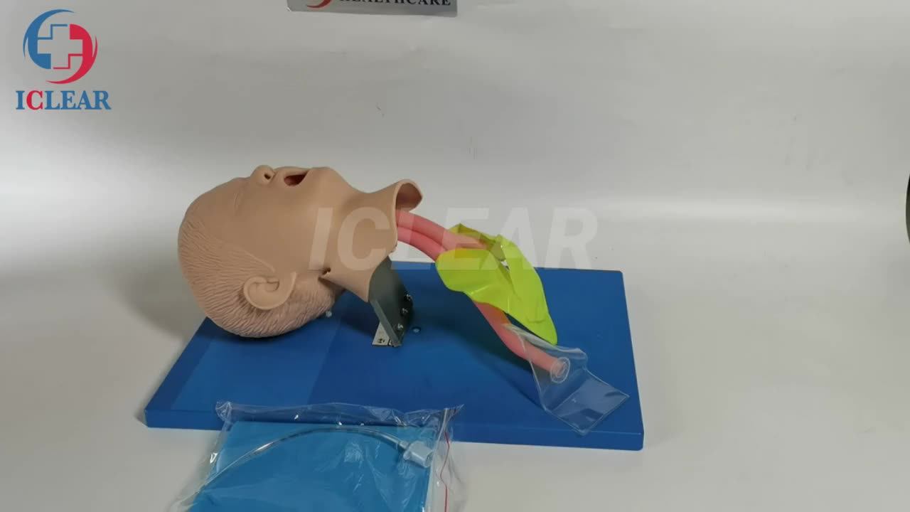 Medical Neonate Tracheal Intubation Model Training Manikin Tracheal ...