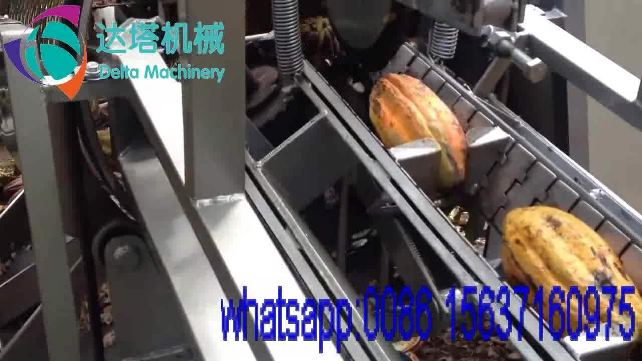 Fresh Cocoa Pod Cracking/shelling/husking/skin Removing/thresher ...