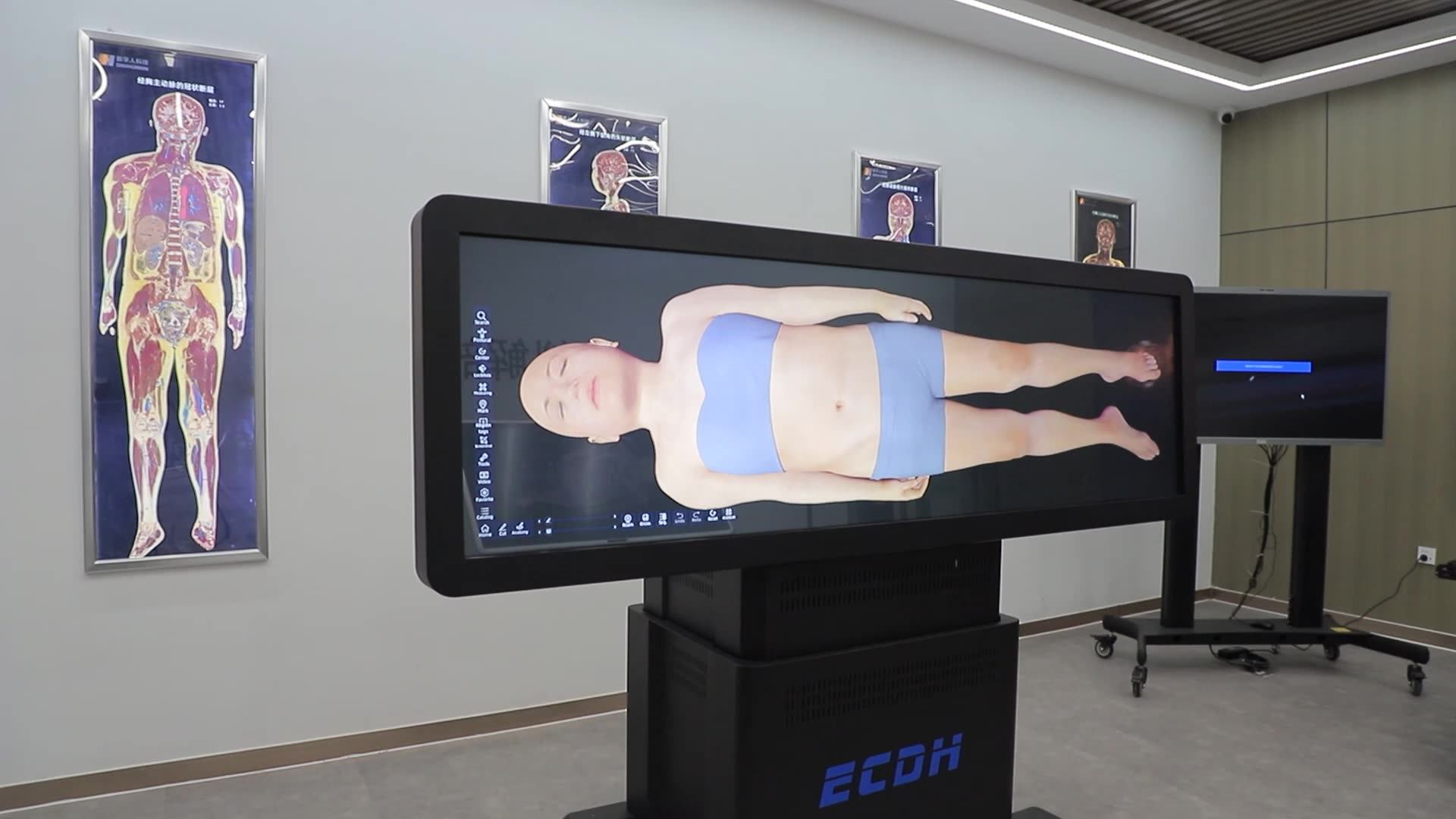 Digihuman Virtual Anatomy Interactive System Internal Anatomy And Pathology Education 3d Anatomy ...