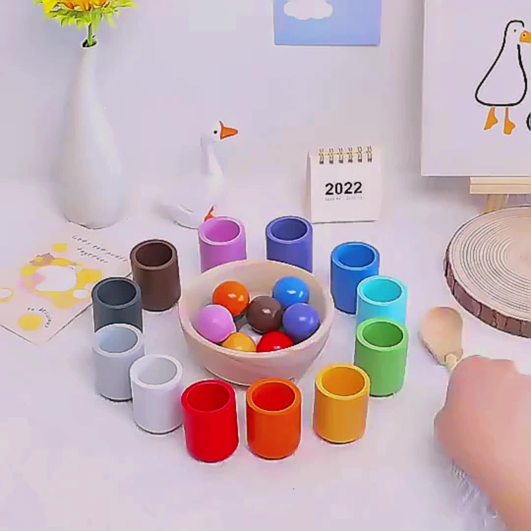 Wooden Balls In Cups Montessori Toy Color Sorting Game Educational Toys ...
