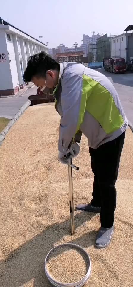 Stainless Steel Grain Sample Probe - Buy Grain Probe,Grain Sampler,Hand ...