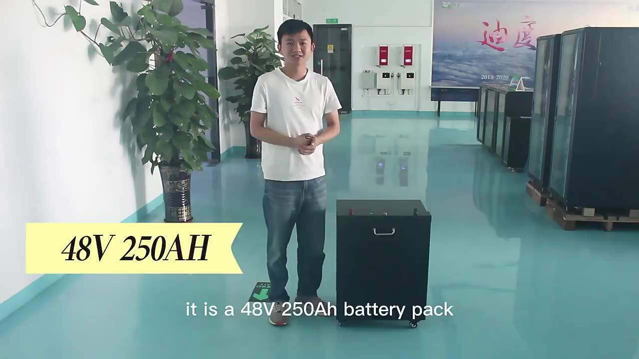 Movable Lithium Ion Batteries Oem Big Capacity 10kwh 51.2v 48v 250ah ...