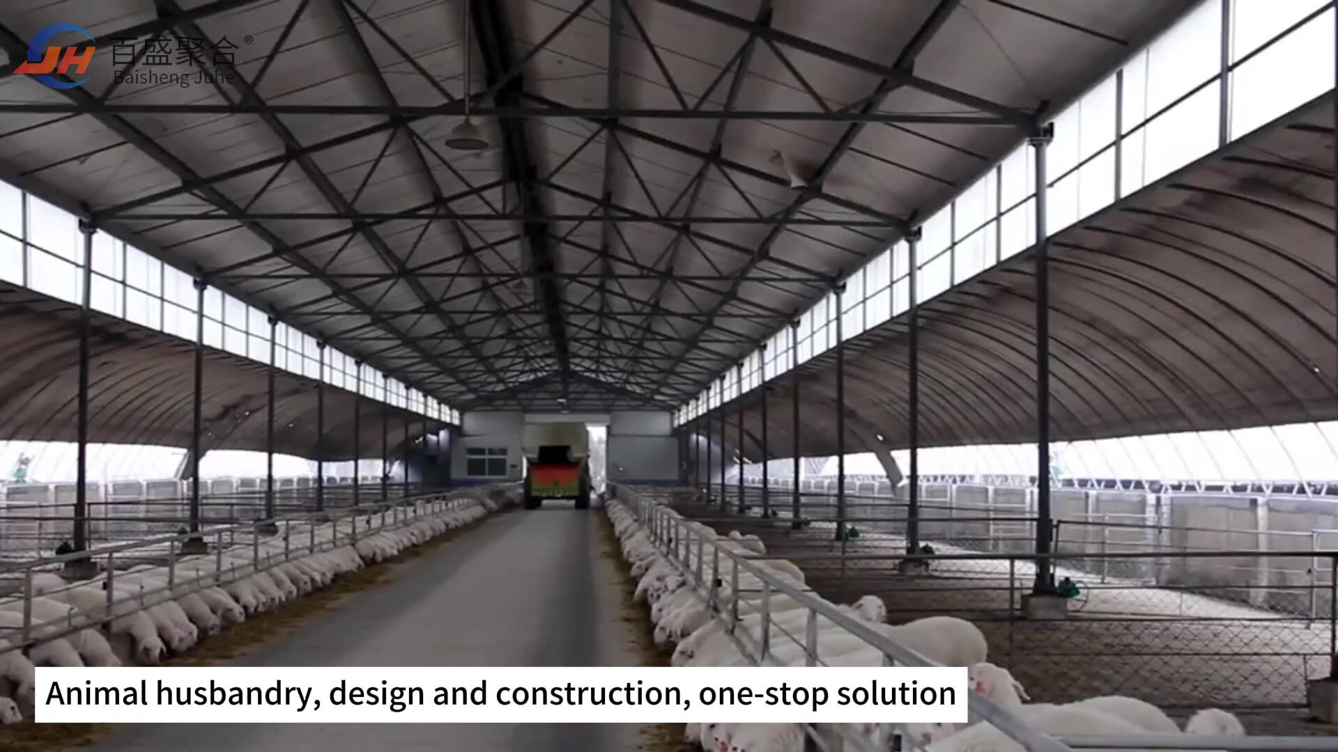 Open Side Poultry House Type Poultry Farming Shed Goat Farm Sheds ...