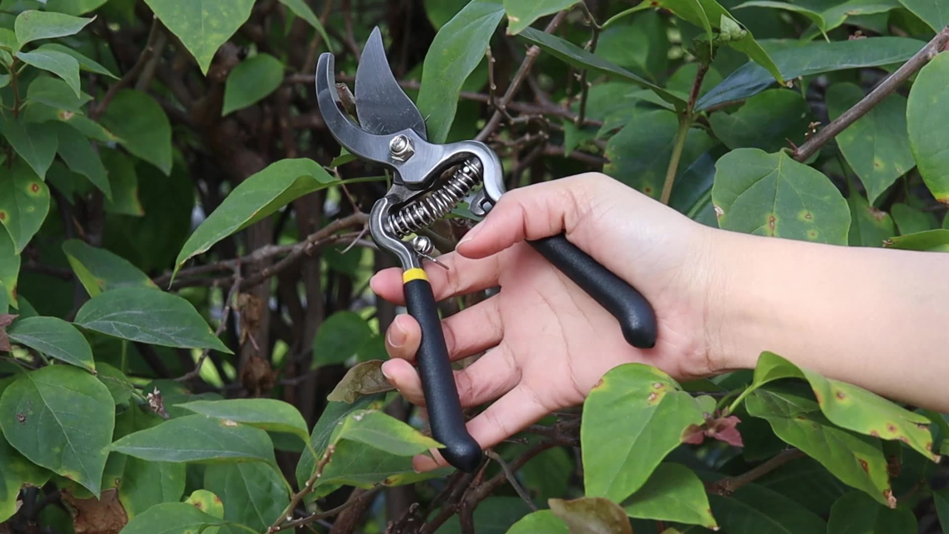 Sunshine Garden Tools Hand Pole Saw Cordless Tree Pruner Loppers Mini 8 ...