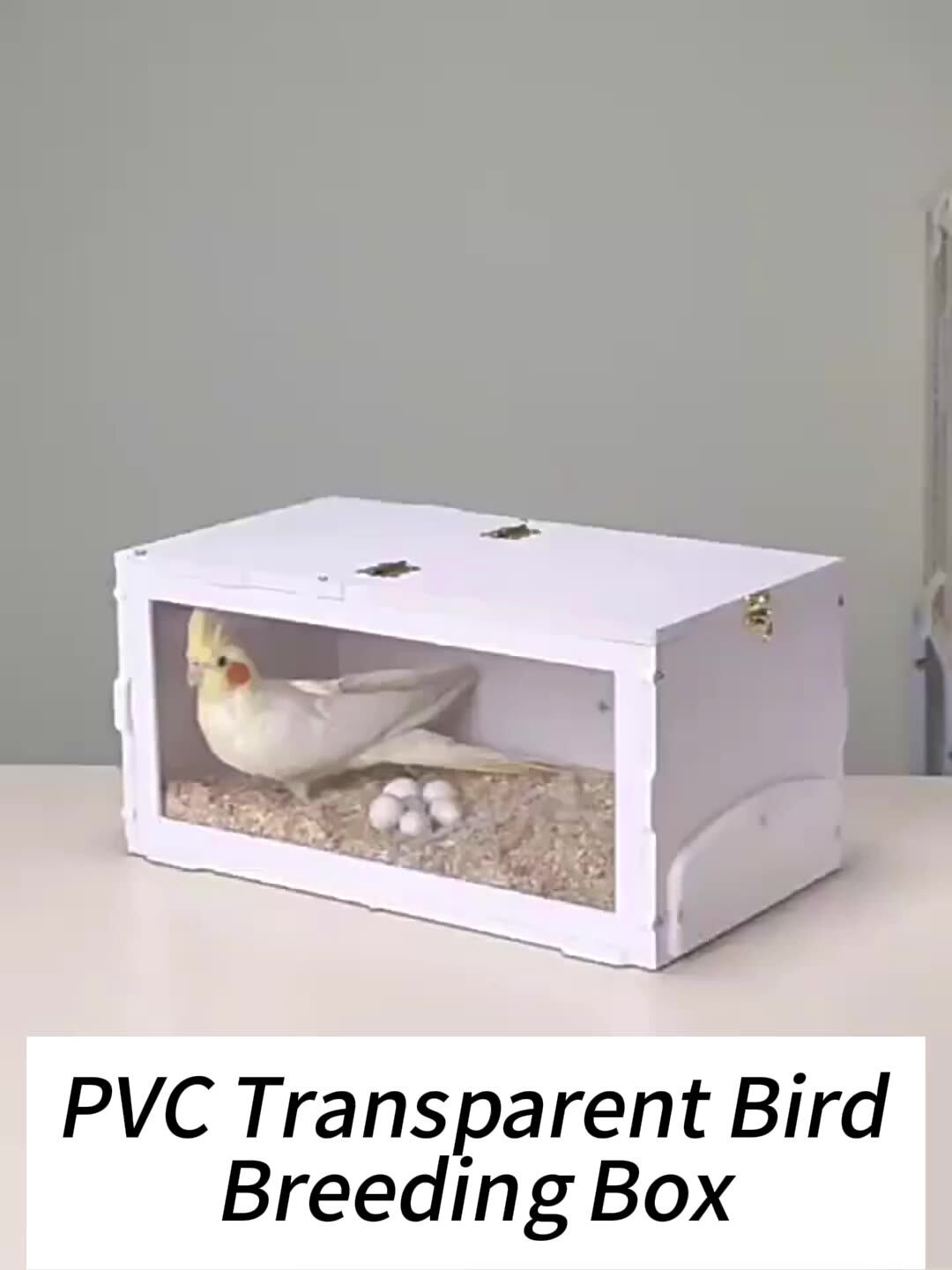 Pvc Bird Breeding Box Easy To Clean Durable Finch Lovebirds Cockatiel ...