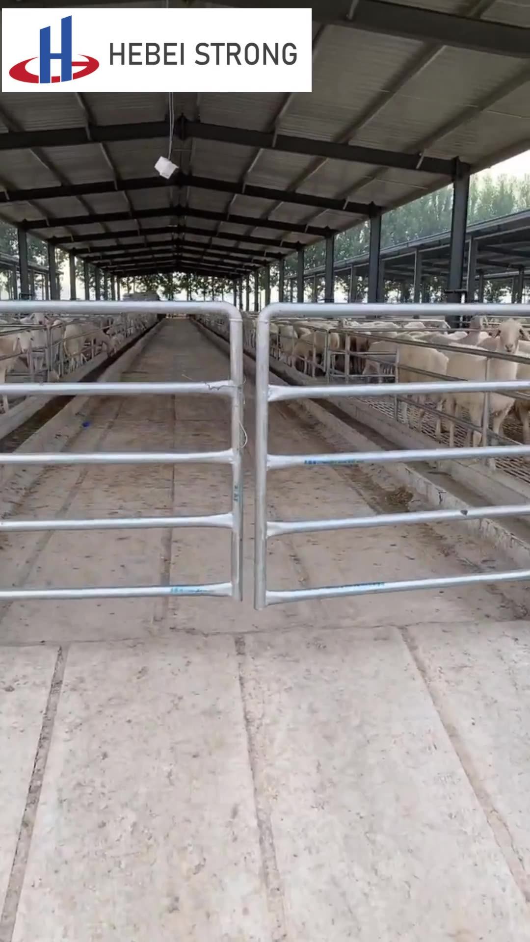 Modern Design Steel Structure Cow Cattle Dairy Milking Farm Goat ...