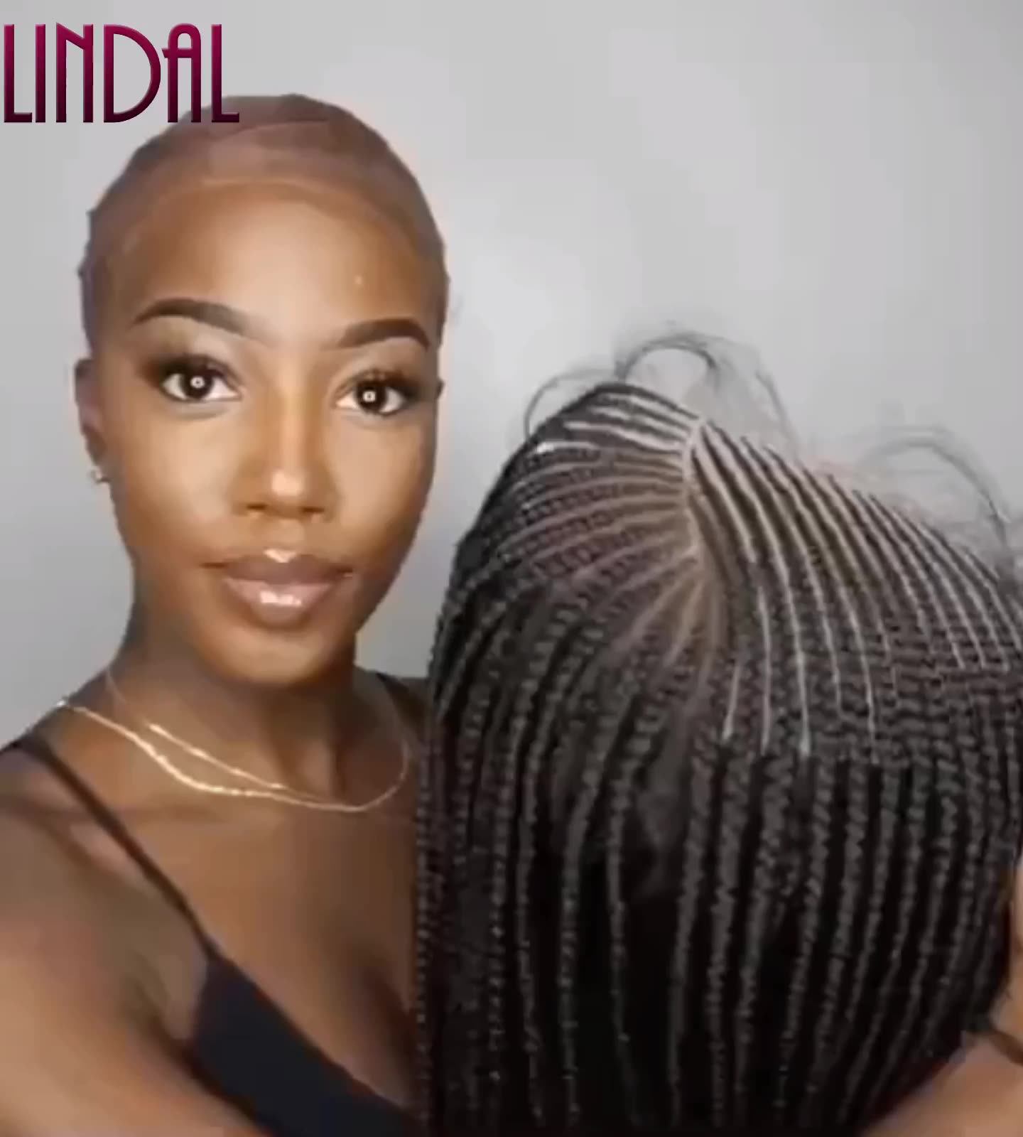 Lindal Long Straight Empress Synthetic Lace Front Braid Hair Wigs ...