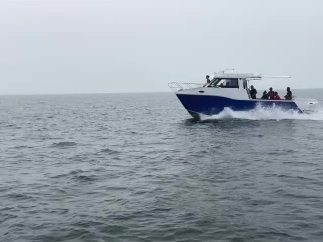 8.9m 29ft Aluminium Twin Hull Yacht Catamaran Speed Cabin Cruiser Rough ...