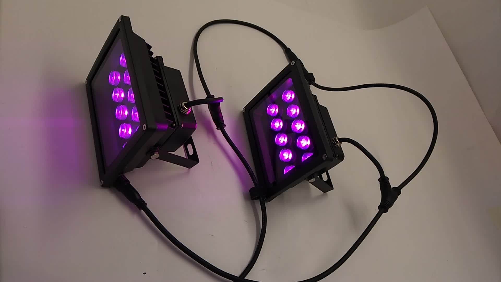 30w 80w 24v Dc Dmx Rgb/rgbw Led Flood Light 3years Warranty - Buy Good ...