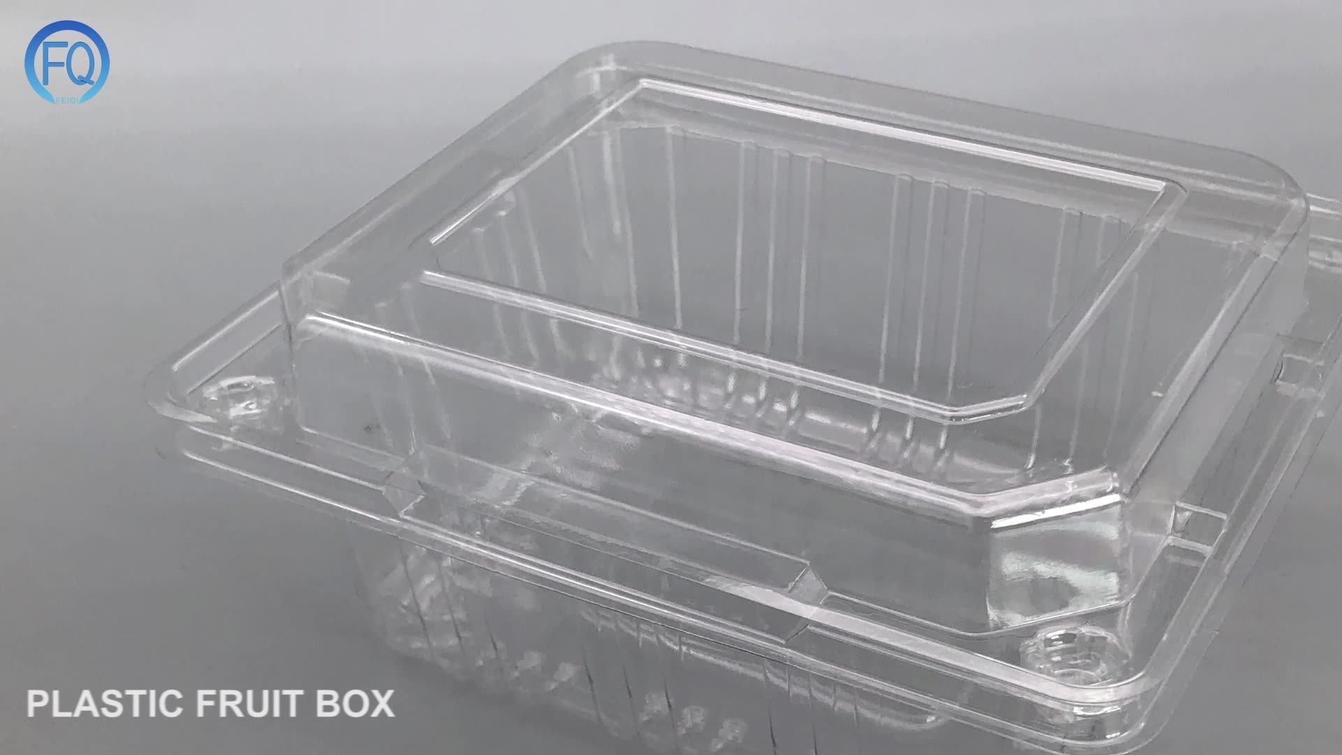 Wholesale Fruit Plastic Clam Shell Boxes Transparent Vegetable Blister ...