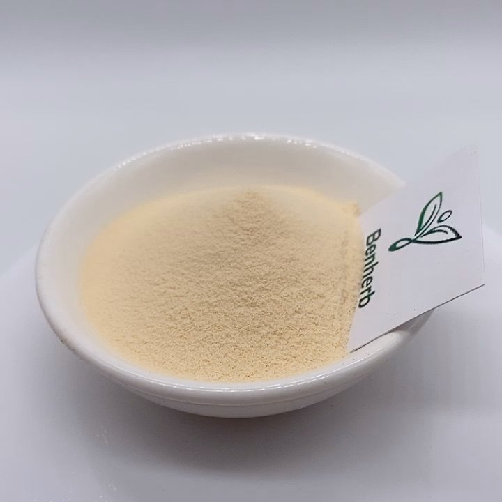 Professional Manufacture Top Quality Zein (corn Protein)cas.9010-66-6 ...