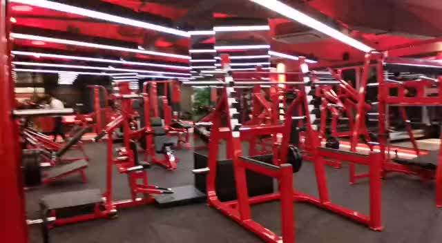 Strength Commercial Gym Equipment Plate Loaded Machines Back Machine ...