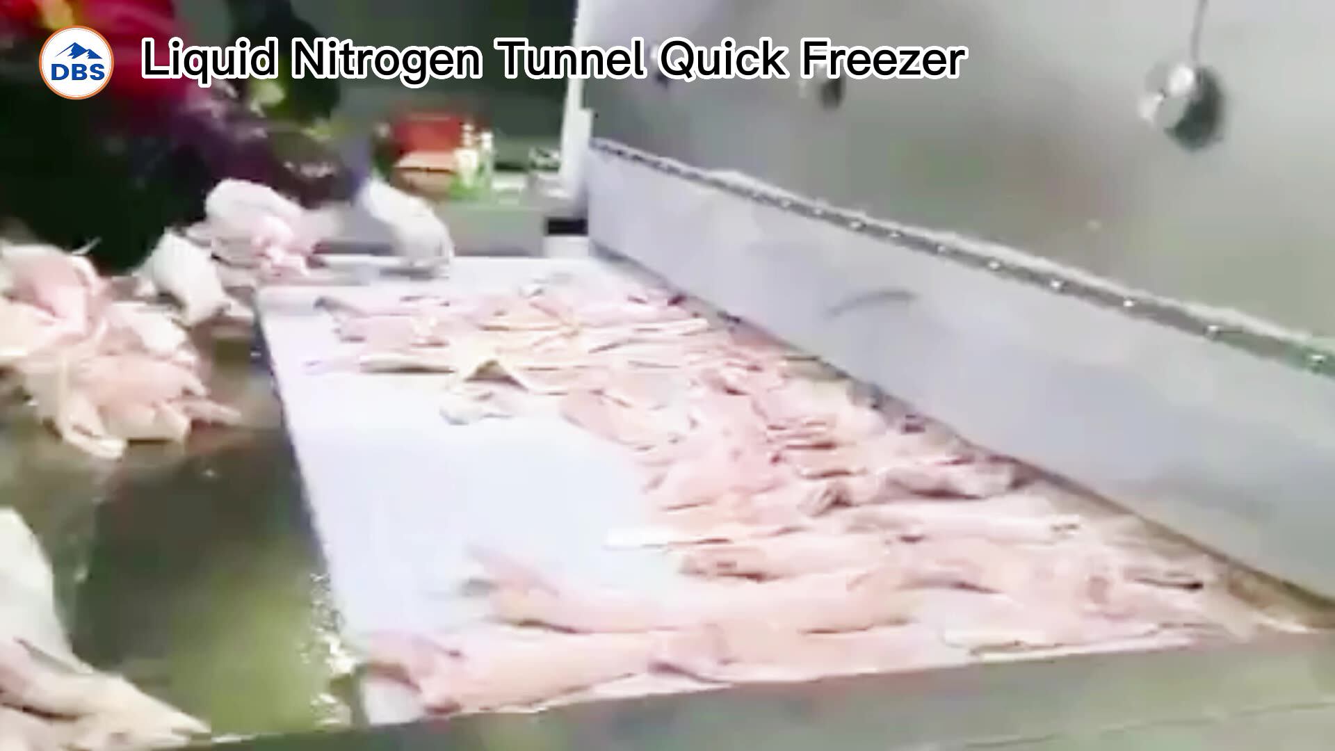 Individual Best Price Quick Freezing Small Iqf Machine For Shrimp ...