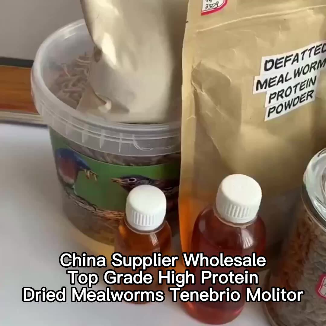 Black Soldier Fly Larvae Dried Powder Bsfl With Black Soldier Fly Net ...