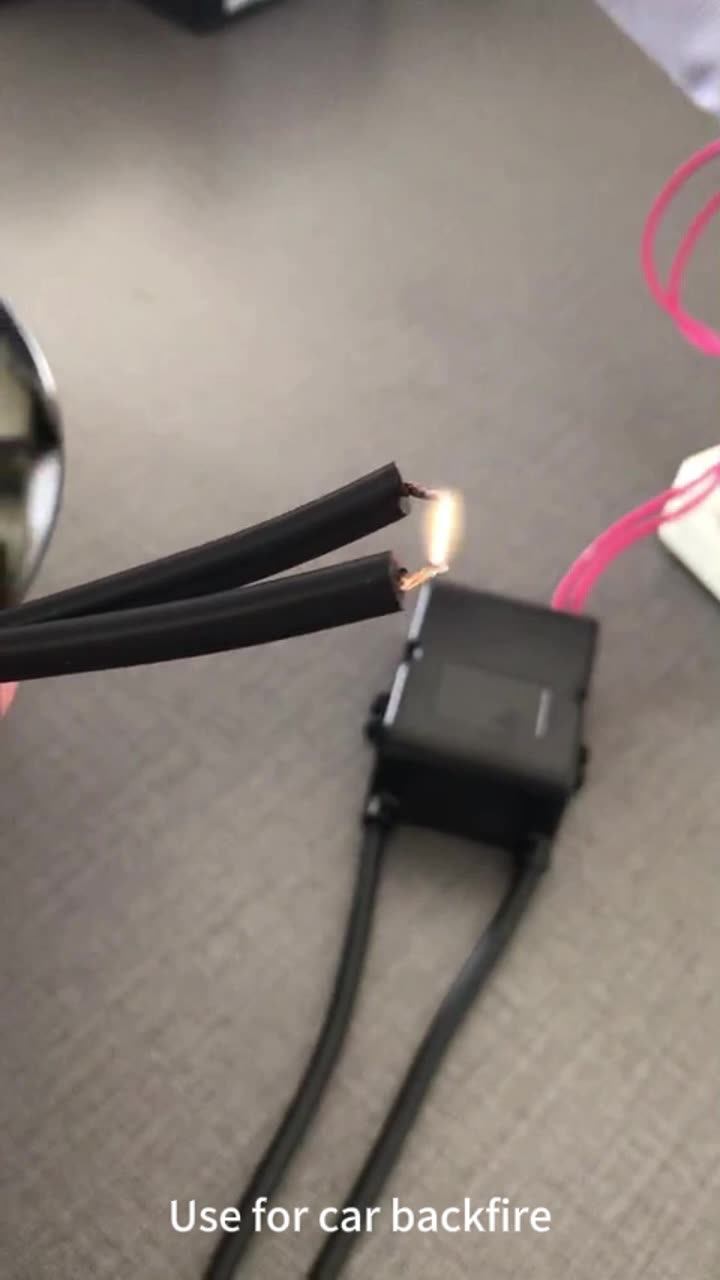 Dc 12v/24v High-intensity Combustion Electronic Gas Igniter Fuel And ...