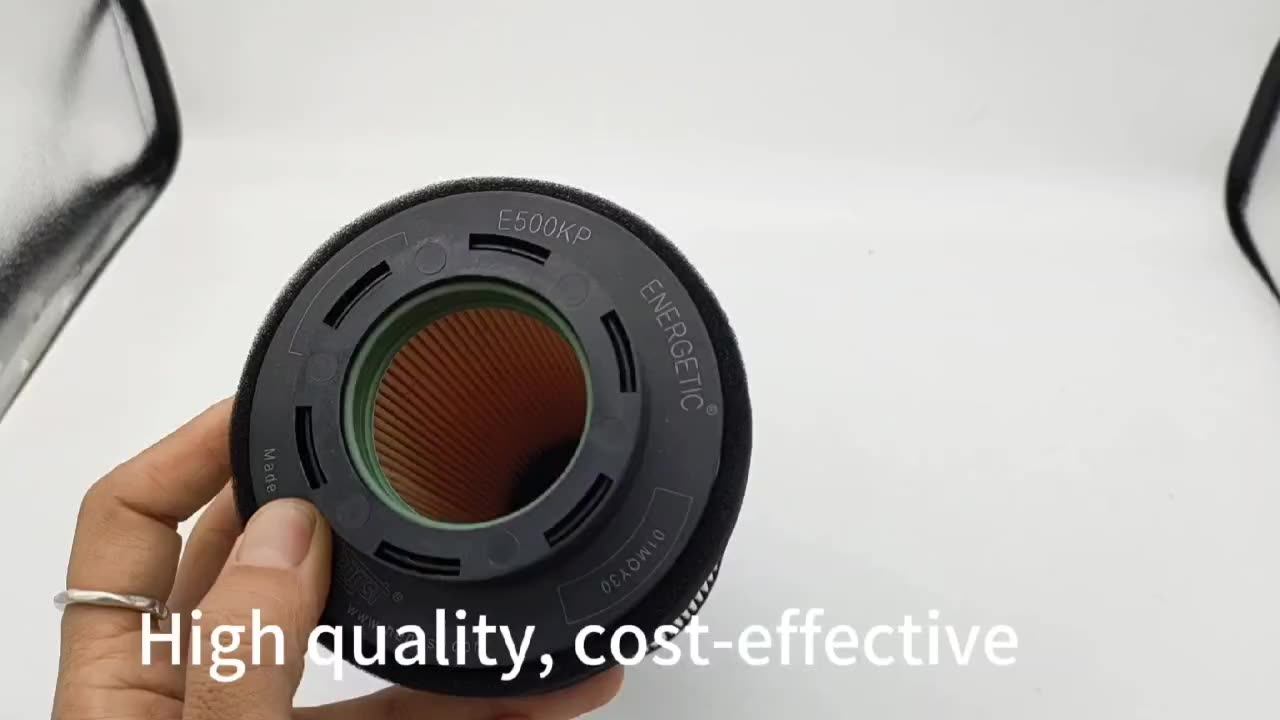 Truck Fuel Filter E500kp02d36 Pu999/1 A5410920805 For Truck Diesel ...