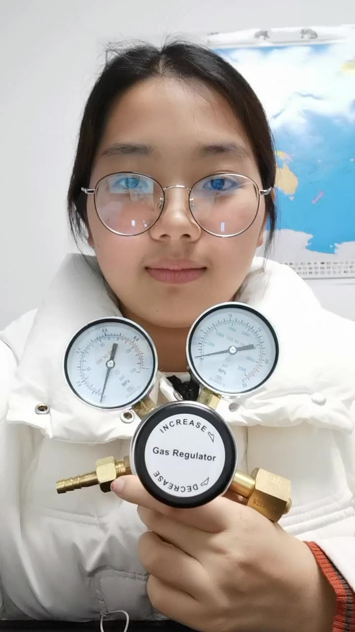 Nitrogen Oxygen Co2 Helium Pressure Regulator Gas Regulator Vent Price Relief Air Co2 Regulator ...