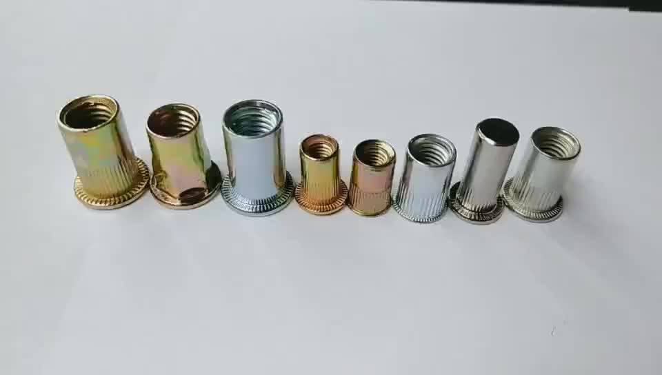 Stainless Steel Insert Blind Rivets Nut - Buy Flat Head Knurled Rivet ...