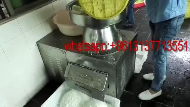 Large Commercial Electric Coconut Grater,Stainless Steel Coconut Grater ...