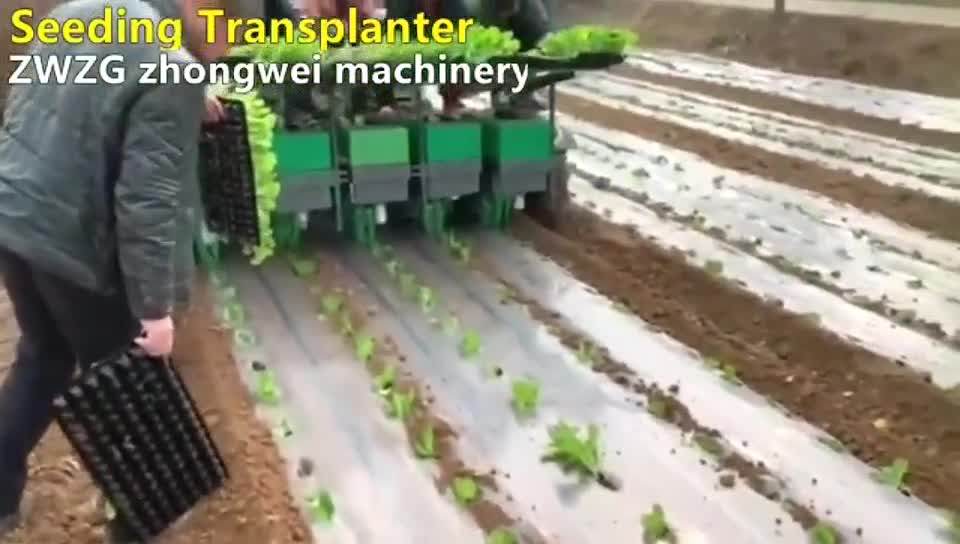 Sugar Beet Seedlings Transplanting Machine Eggplant Seedlings Planting ...