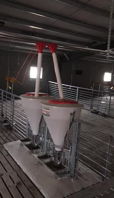 Piggery Cage / Organic Pig Farming / Breeding Crate For Pigs Wholesale ...