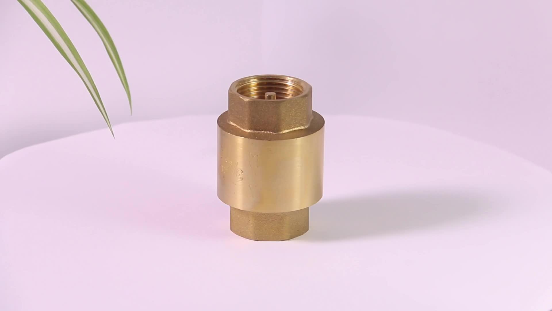 Brass Non Return Vertical Spring Check Valve With Brass Core - Buy ...