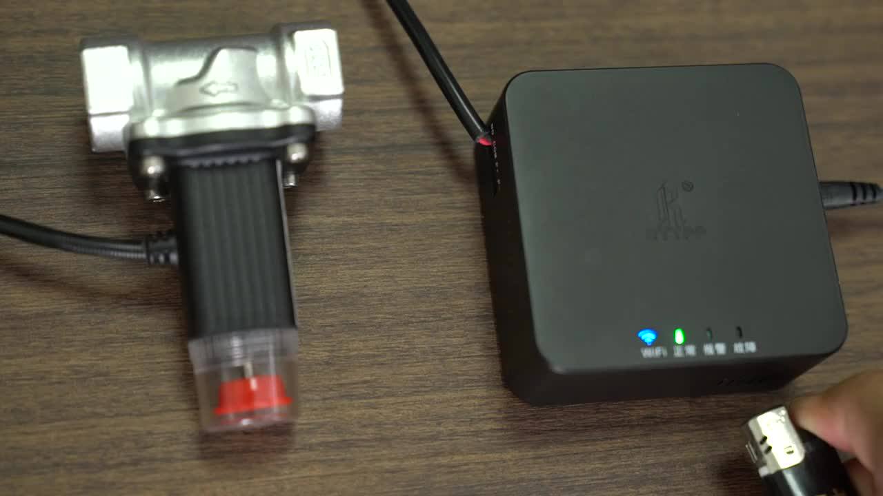 Smart Home Kitchen Cooking Combustible Gas Alarm Leak Detector - Buy ...