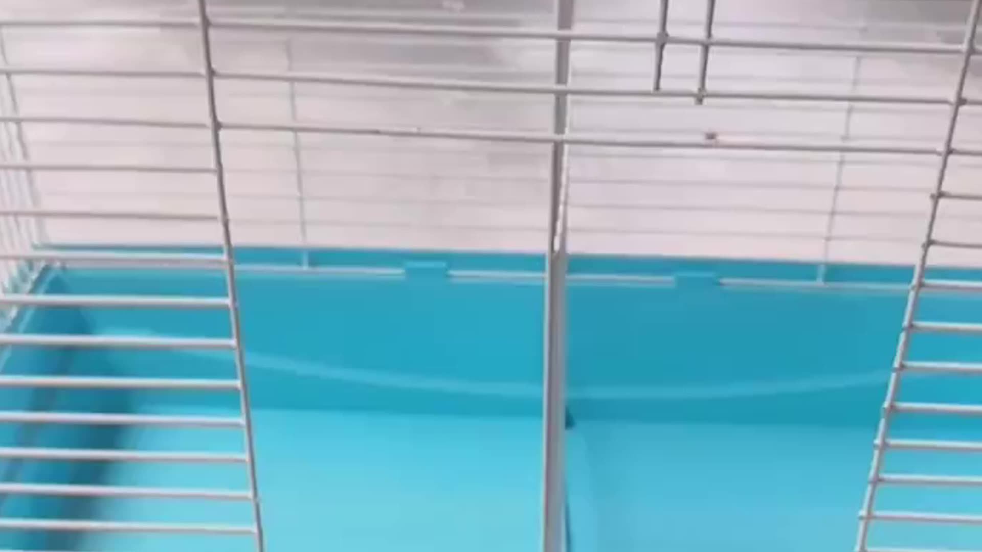 Wholesale Factory Luxury Custom Fold Indoor Rabbit Cage For Feeding ...