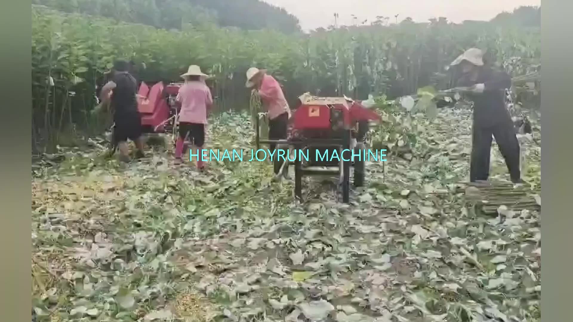 Hemp Ramie Jute Fiber Extracting Decorticating Machine Hemp Fiber ...
