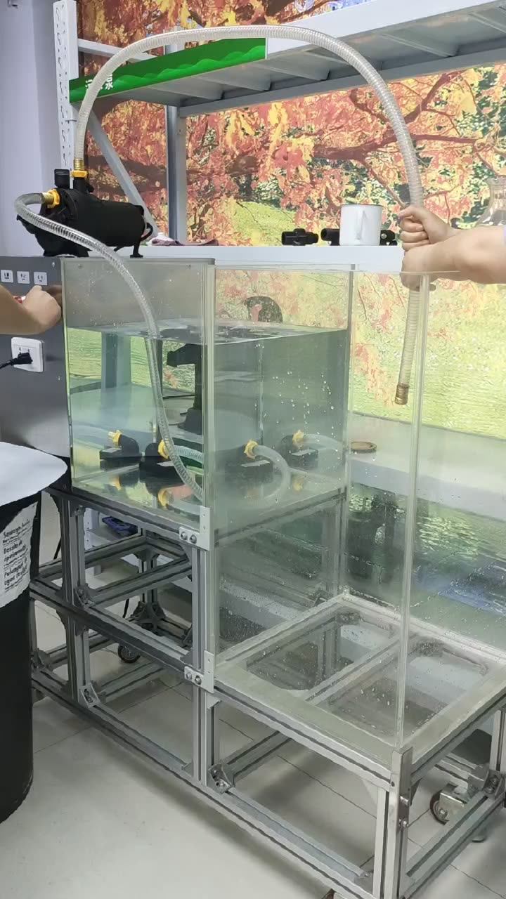 Gp Enterprises Made Thermoplastic Non-submersible Submersible 1/4 Hp 2 In 1 Utility Transfer ...