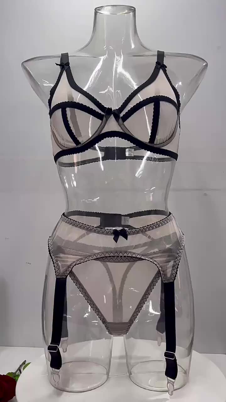 2023 Mesh Lace Transparent Sexy Hot Fashion Show Lingerie Women 3 Piece ...