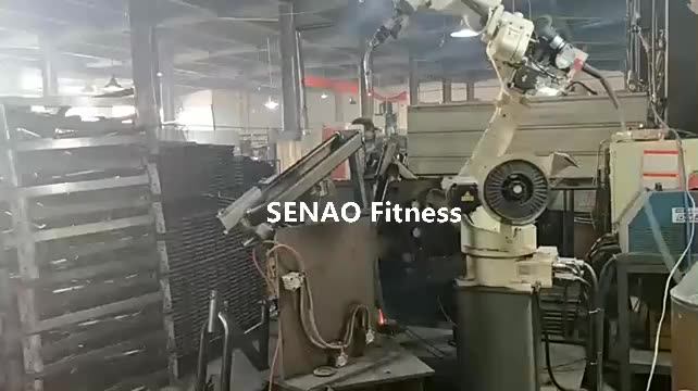 Senaofit Fitness Plate Loaded Seated Dip Machine Tricep/bicep Press ...