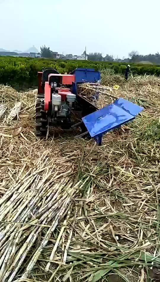 Small Scale Sugarcane Leaf Remover Sugar Cane Leaves Stripper - Buy ...