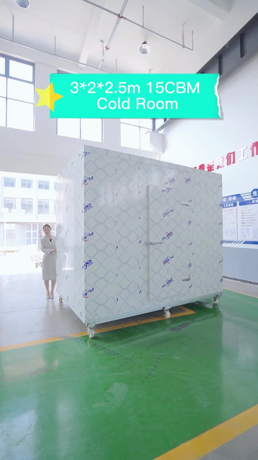 Commercial 20ft Container Walk In Freezer Cold Storage Chambre Froide ...