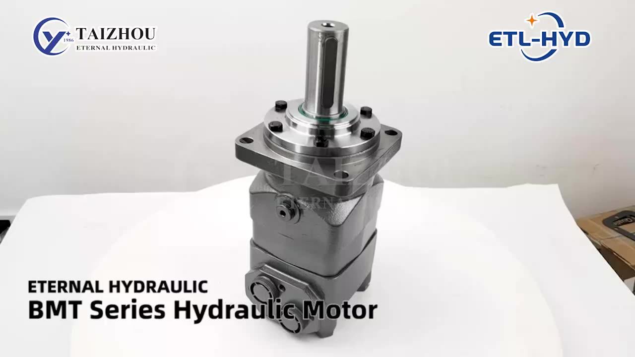 Omt Bmt Bm5 Bm6 160 200 230 250 400 500 630 800 Low Speed High Torque ...